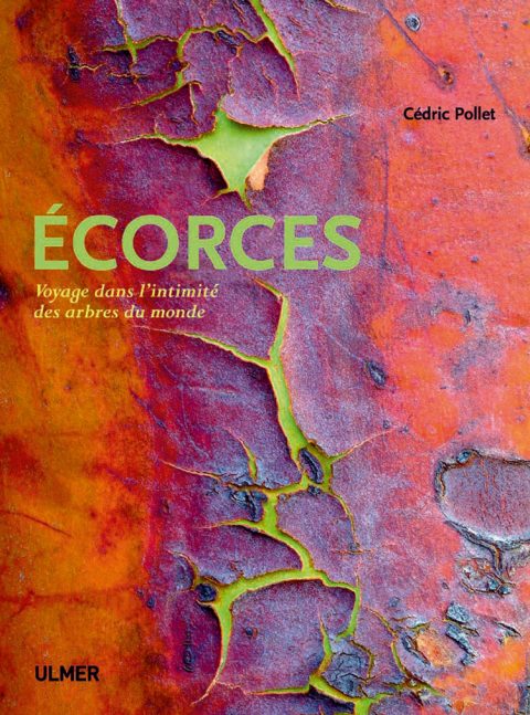 Cedric Pollet | Photographe Botaniste