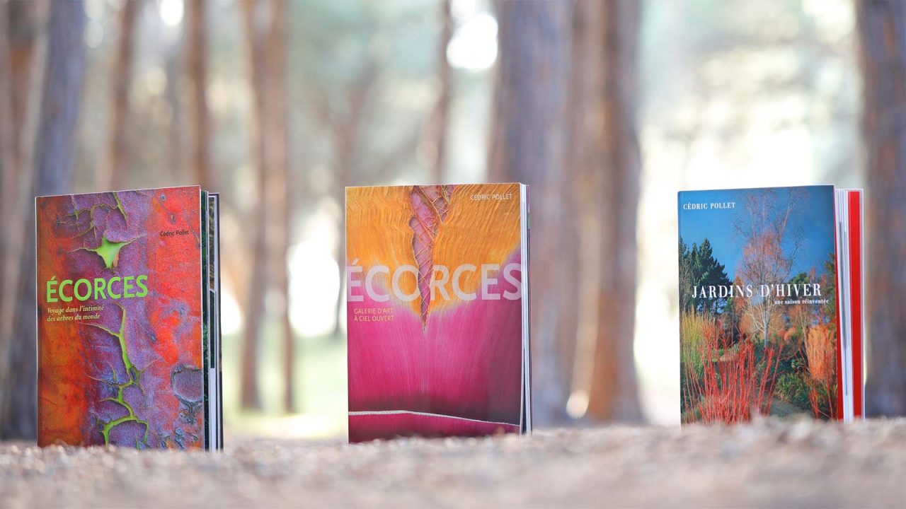 Boutique | Cedric Pollet